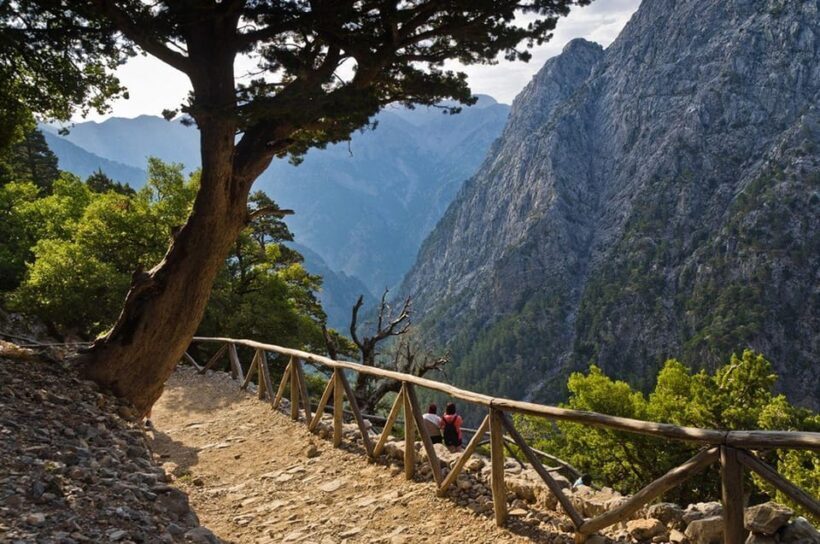From Chania: Samaria Gorge with Professional Hiking Guide - A Day in the White Mountains: What to Expect