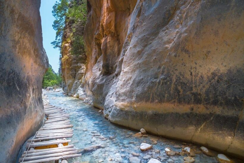 From Chania: Samaria Gorge with Professional Hiking Guide - What Real Travelers Say
