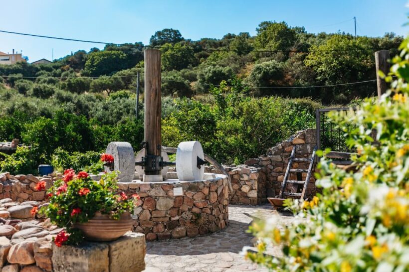 From Chania: Wine and Olive Oil Tasting Tour with Snacks - The Sum Up