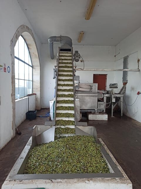 From Chania: Wine, Honey & Olive Oil Private Tour - A Detailed Look at the Tour Experience