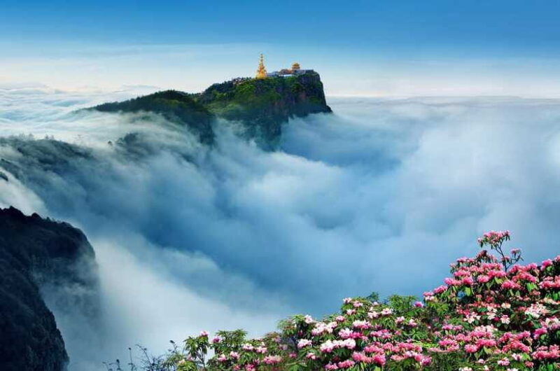 From Chengdu: Mount Emei Day Trip with Golden Summit Visit - The Return Journey