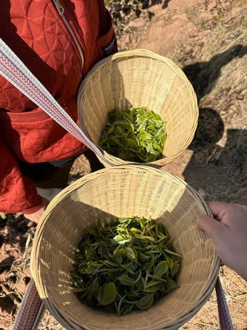 From Chengdu: Tea Garden, Bamboo Weaving & Ancient Town Tour - Introduction to the Tour Experience