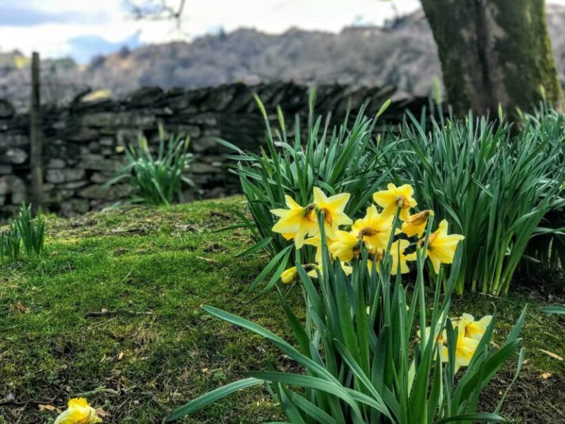 From Chester: Lake District Full-Day Guided Sightseeing Tour - Final Thoughts