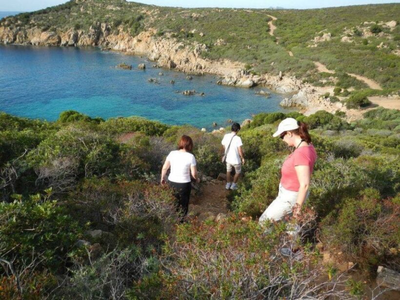 From Chia: Private Jeep Tour of Sardinia's Hidden Beaches - Who Should Consider This Tour?