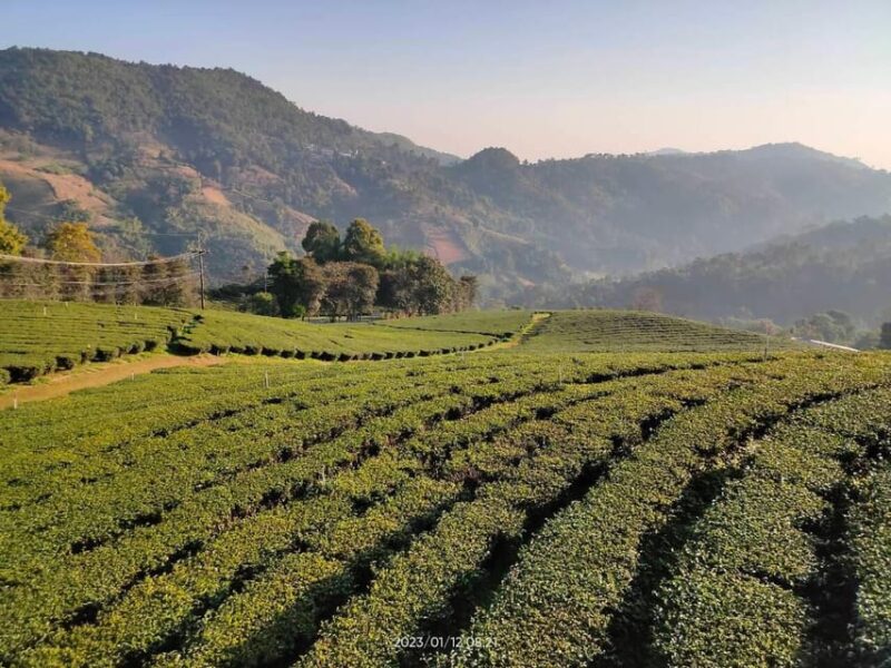 From Chiang Mai : 2 Days Chiang Rai - All Highlights - Final Thoughts: Is it Worth It?