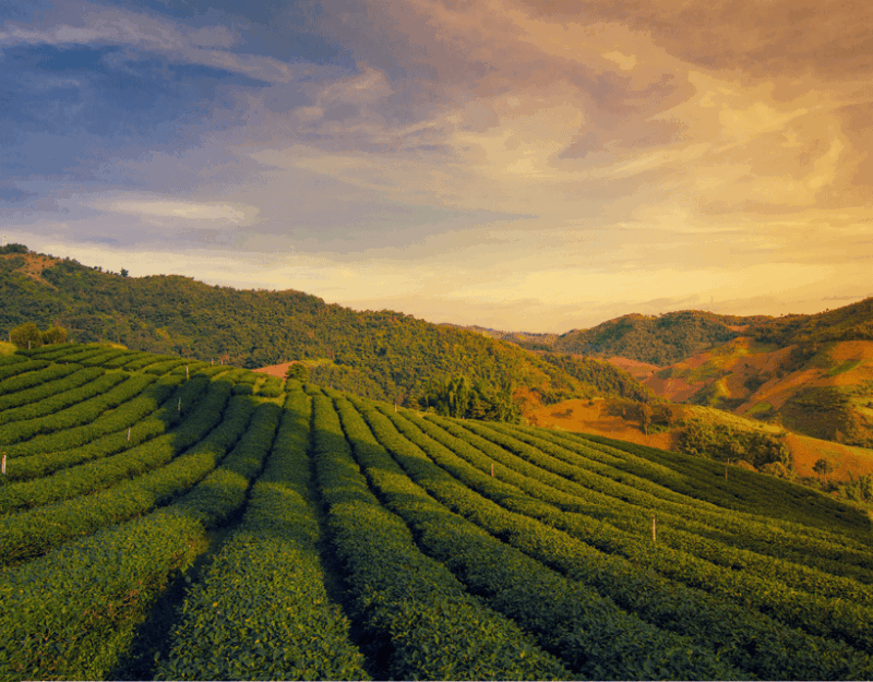 From Chiang Mai: Customize Your Northern Thailand Itinerary - Key Points