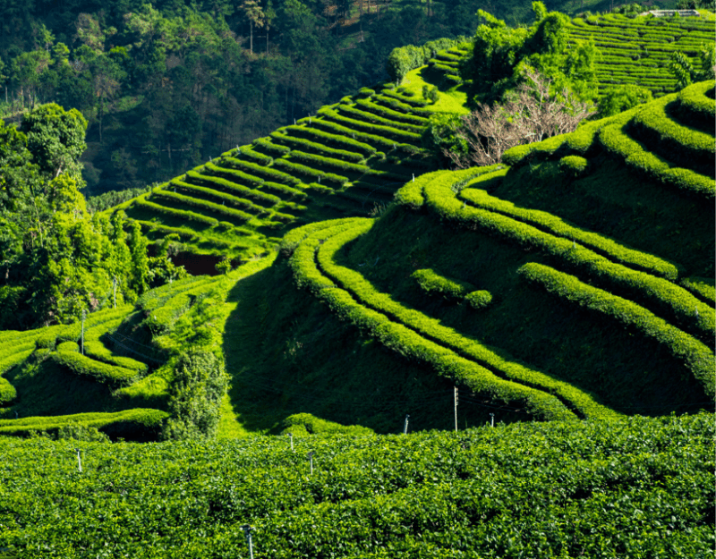 From Chiang Mai: Customize Your Northern Thailand Itinerary - Final Thoughts: Who Is This Tour For?