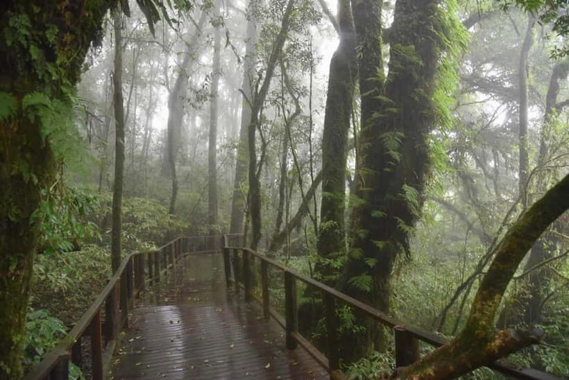 From Chiang Mai: Doi Inthanon National Park Day Trip - The Itinerary: A Deep Dive into Doi Inthanon