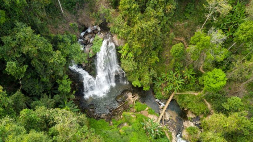 From Chiang Mai: Doi Inthanon National Park Hiking Tour - From Chiang Mai: Doi Inthanon National Park Hiking Tour
