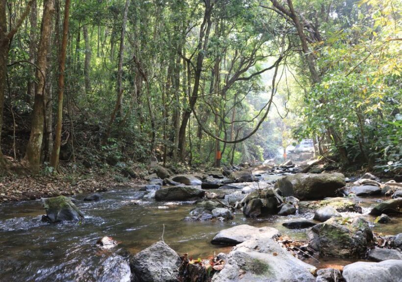 From Chiang Mai: Doi Inthanon National Park Hiking Tour - Key Points