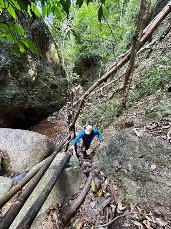 From Chiang Mai: Doi Saket Hiking Tour with Lunch - Practical Tips for a Great Day Out