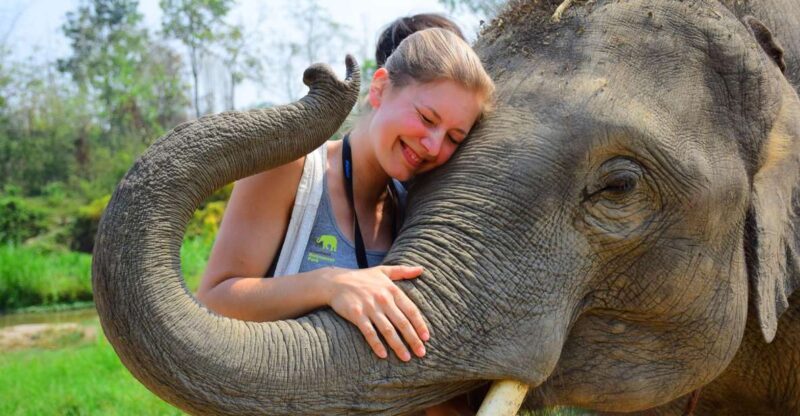 From Chiang Mai: Elephant Care Program and Nursery Tour - Why This Tour Offers Great Value