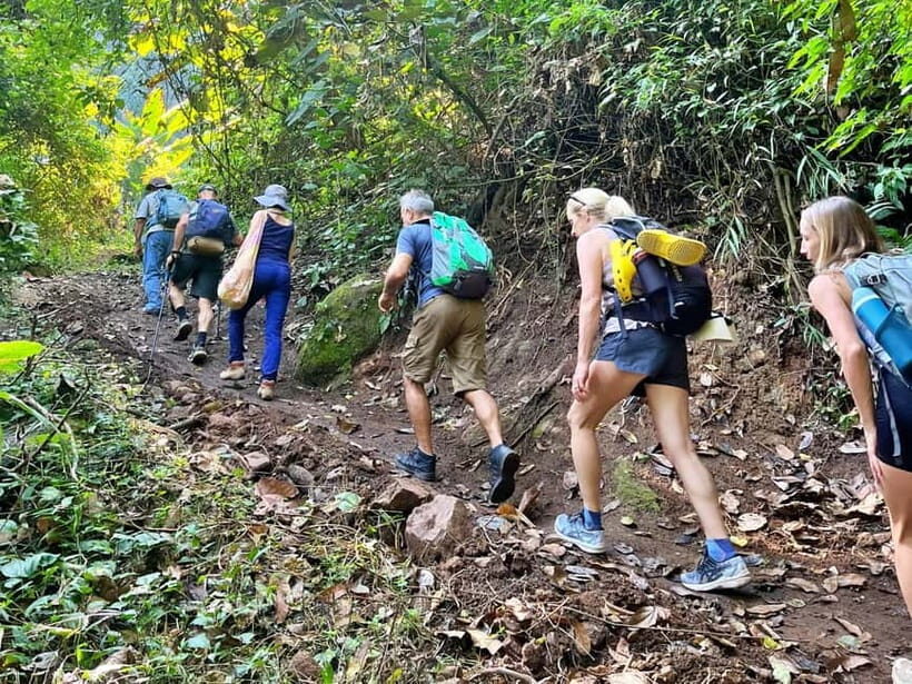 From Chiang Mai: High Mountain Day Trek - Key Points