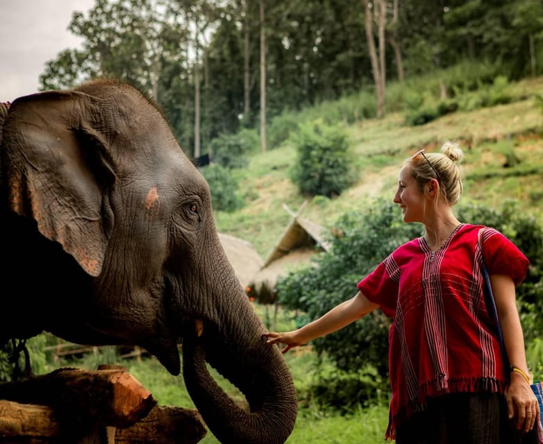 From Chiang Mai: Kerchor Eco Elephant Park Tour - What Makes This Tour Special?