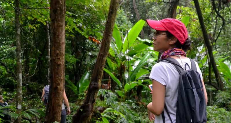 From Chiang Mai: Mae Taeng Valley Hike & Bike Day Trip - Exploring Chiang Mai’s Mae Taeng Valley: A Hike & Bike Day Trip