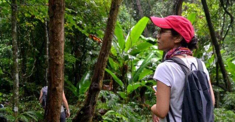 From Chiang Mai: Mae Taeng Valley Hike & Bike Day Trip - Key Points