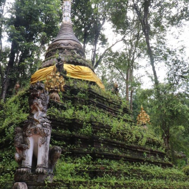 From Chiang Mai: Temples, Sticky Waterfall, and Orchid Farm - Key Points