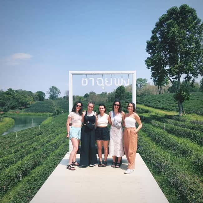 From Chiangrai: Customize Your Private Chiang Rai Adventure! - Exploring Chiang Rai Your Way: An In-Depth Review