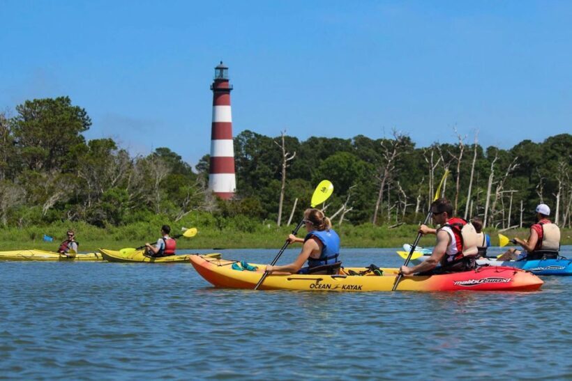 From Chincoteague: Guided Kayak Tour to Assateague Island - Final Word