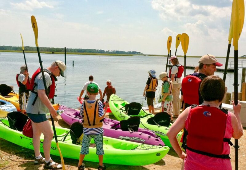 From Chincoteague: Guided Kayak Tour to Assateague Island - The Sum Up