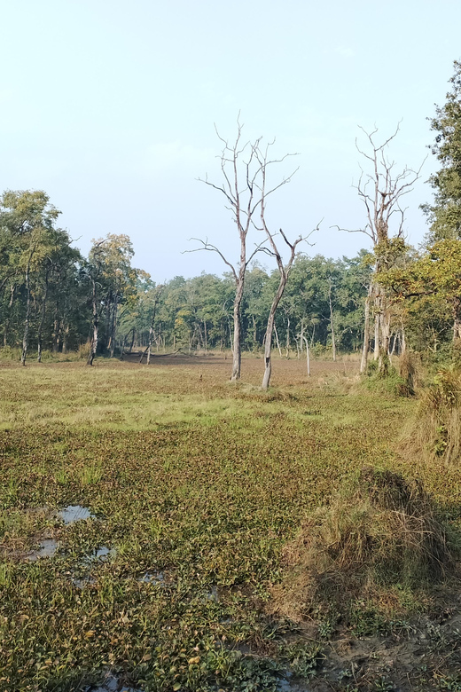 From Chitwan: Day Tour Jeep Safari+Canoeing+Jungle walk - Final Thoughts