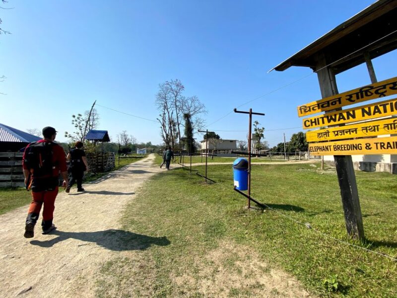 From Chitwan : Jeep Safari,Canoeing,Forest walk Day Tour - Key Points