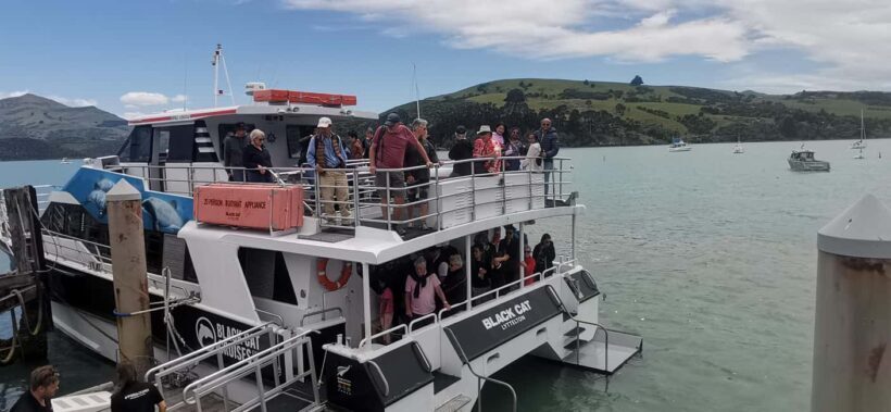 From Christchurch: Akaroa Day Tour with Optional Cruise - A Scenic Journey from Christchurch