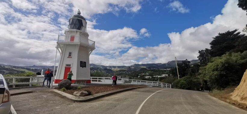 From Christchurch: Akaroa Day Tour with Optional Cruise - Wildlife and the Akaroa Nature Cruise