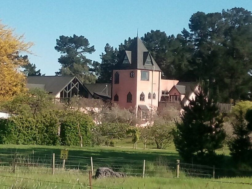 From Christchurch: Guided Local Wine Tours in Waipara - Lunch and Food Options