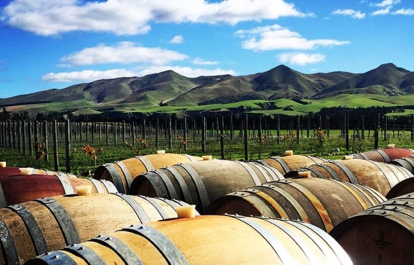 From Christchurch: Guided Local Wine Tours in Waipara - Cost and Value