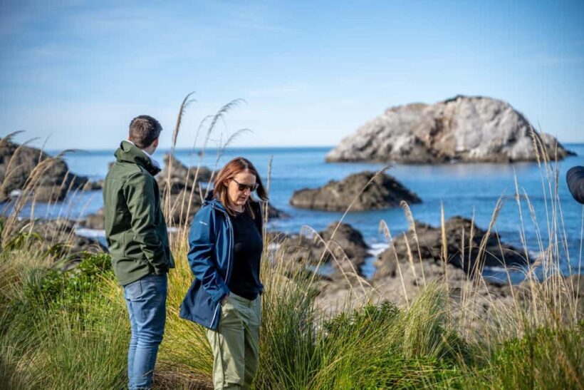 From Christchurch: Kaikura Day Tour With Dolphin Encounter - The Price and Value