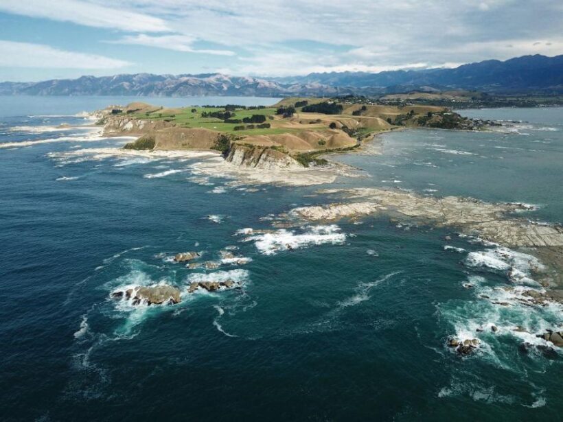 From Christchurch: Kaikura Day Tour With Whale Watching - The Value of This Experience