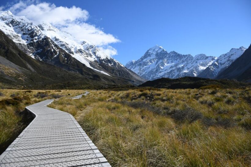 From Christchurch: Mt Cook Day Tour & Lake Tekapo - Key Points