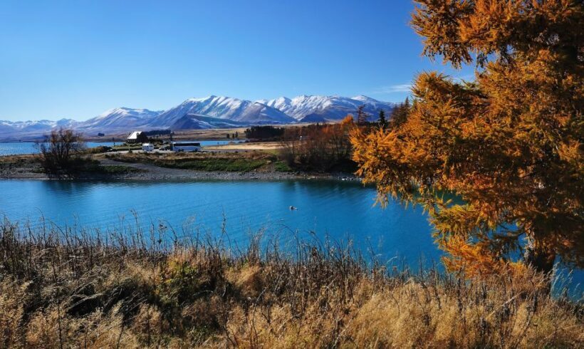 From Christchurch: Queenstown via Tekapo & Mt Cook Day Trip - Who Will Love This Tour?