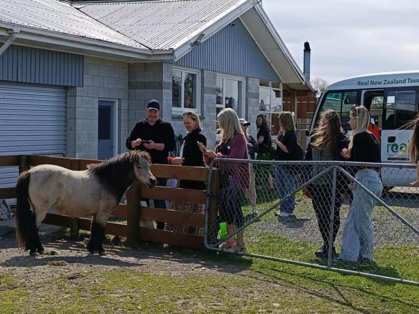 From Christchurch: Sheep Farm Day Trip with Lunch & Winery - Key Points