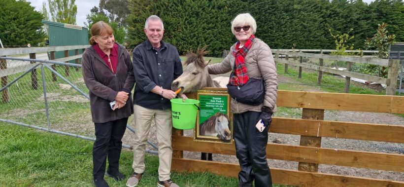 From Christchurch: Sheep Farm Day Trip with Lunch & Winery - A Journey to the Heart of Rural New Zealand