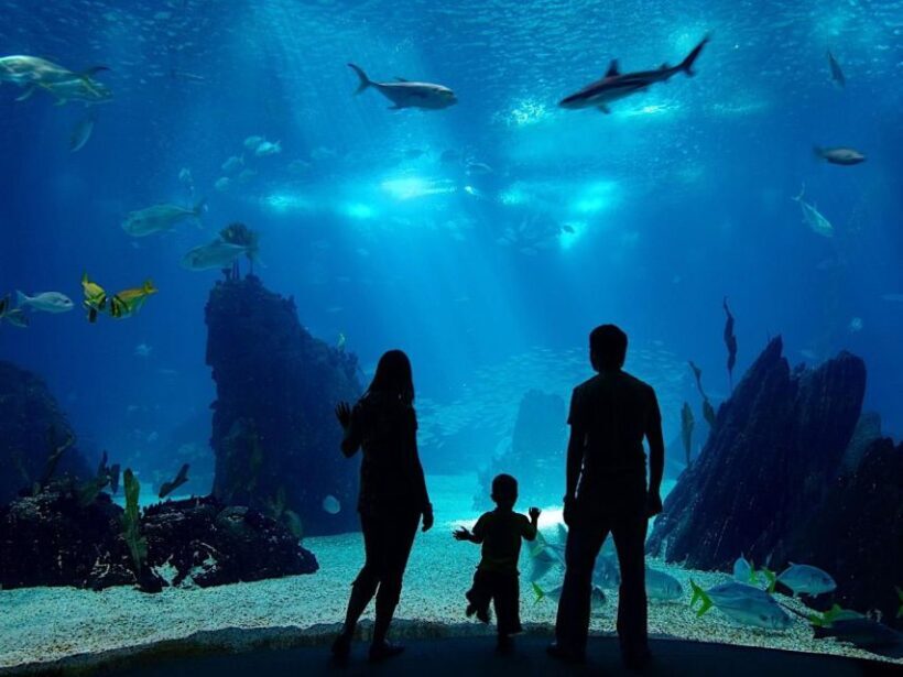 From city of Side: Antalya Aquarium Full-Day Trip - Frequently Asked Questions