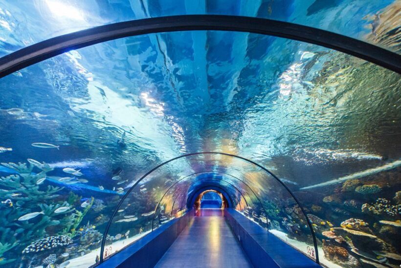 From City of Side: Antalya Aquarium Tour, Ticket & Transfer - An In-Depth Look at the Tour Experience