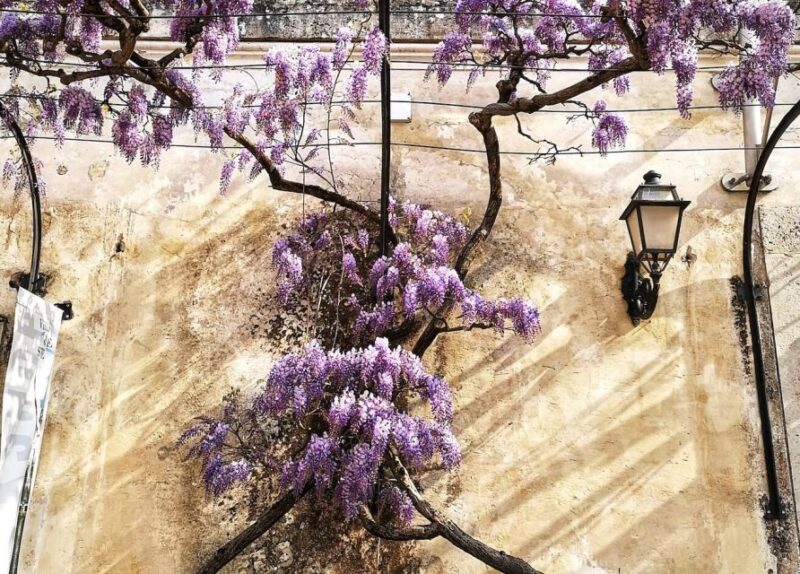 From Civitavecchia: Private Rome to Tivoli Shore Excursion - The Second Marvel: Villa d’Este