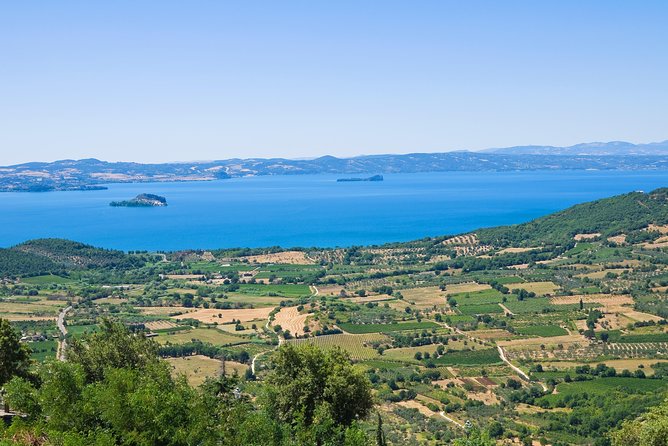 From Civitavecchia: the Dying City and Monster Park Tour - The Sum Up