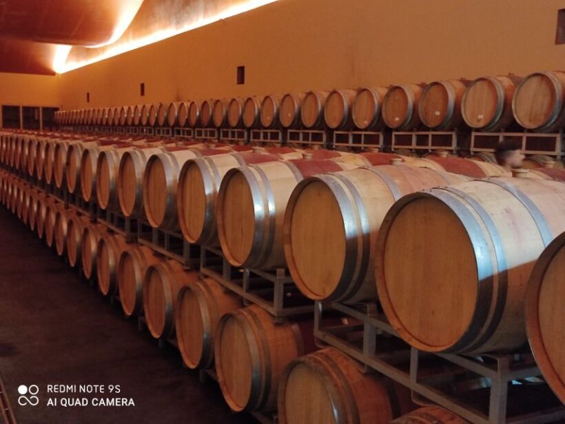 From Civitavecchia: Tuscany-Latium Wine Tour with Tastings - Who Would Love This Tour?
