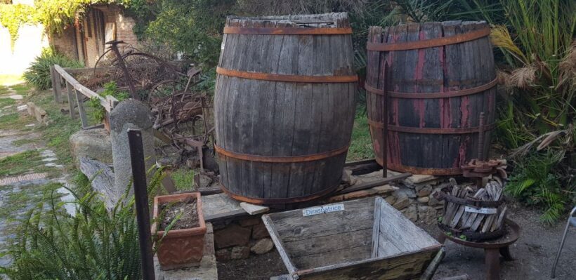 From Civitavecchia: Tuscany-Latium Wine Tour with Tastings - Frequently Asked Questions