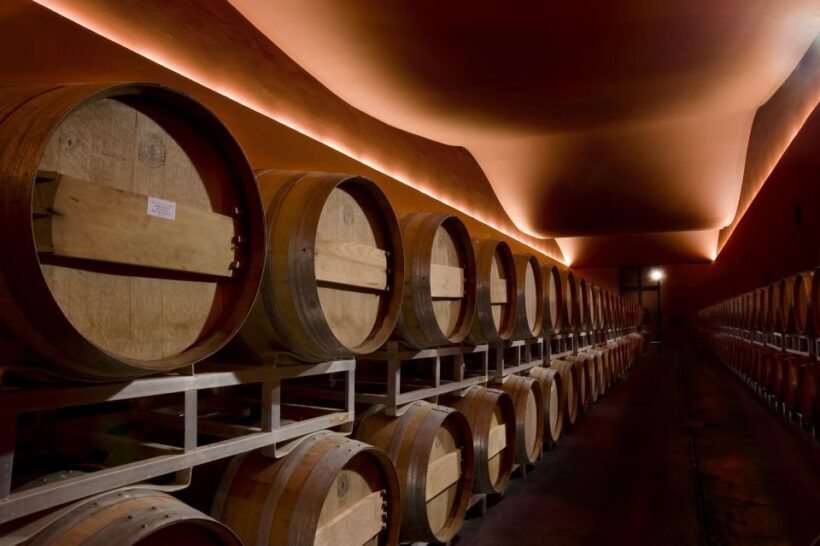 From Civitavecchia: Tuscany-Latium Wine Tour with Tastings - Final Thoughts