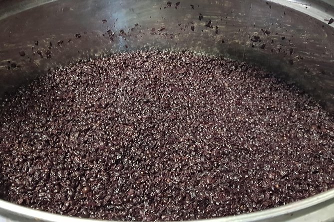 From Civitavecchia: Tuscany-Latium Wine Tour with Tastings - Who Will Love This Tour?