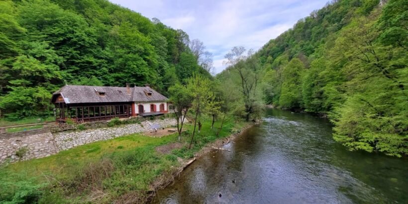 From Cluj: Gorges of Crisul Repede River - An Authentic Nature Experience Close to Cluj