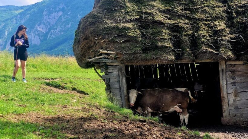 From Cluj-Napoca: Apuseni Mountains Hiking Guided Day Tour - Detailed Breakdown of the Tour Experience