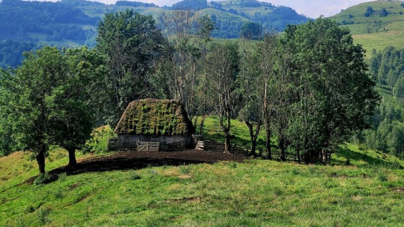 From Cluj-Napoca: Apuseni Mountains Hiking Guided Day Tour - Who Would Love This Tour?