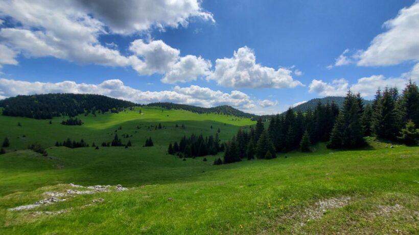 From Cluj-Napoca: Carpathian Mountains Guided Scenic Hike - Key Points