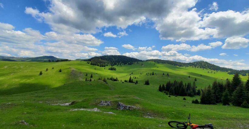 From Cluj-Napoca: Carpathian Mountains Guided Scenic Hike - Exploring the Itinerary: What to Expect on Your Day
