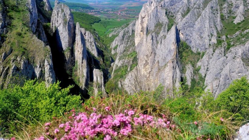 From Cluj: Turda Salt Mine, Gorge, and Remetea Full-Day Trip - Frequently Asked Questions